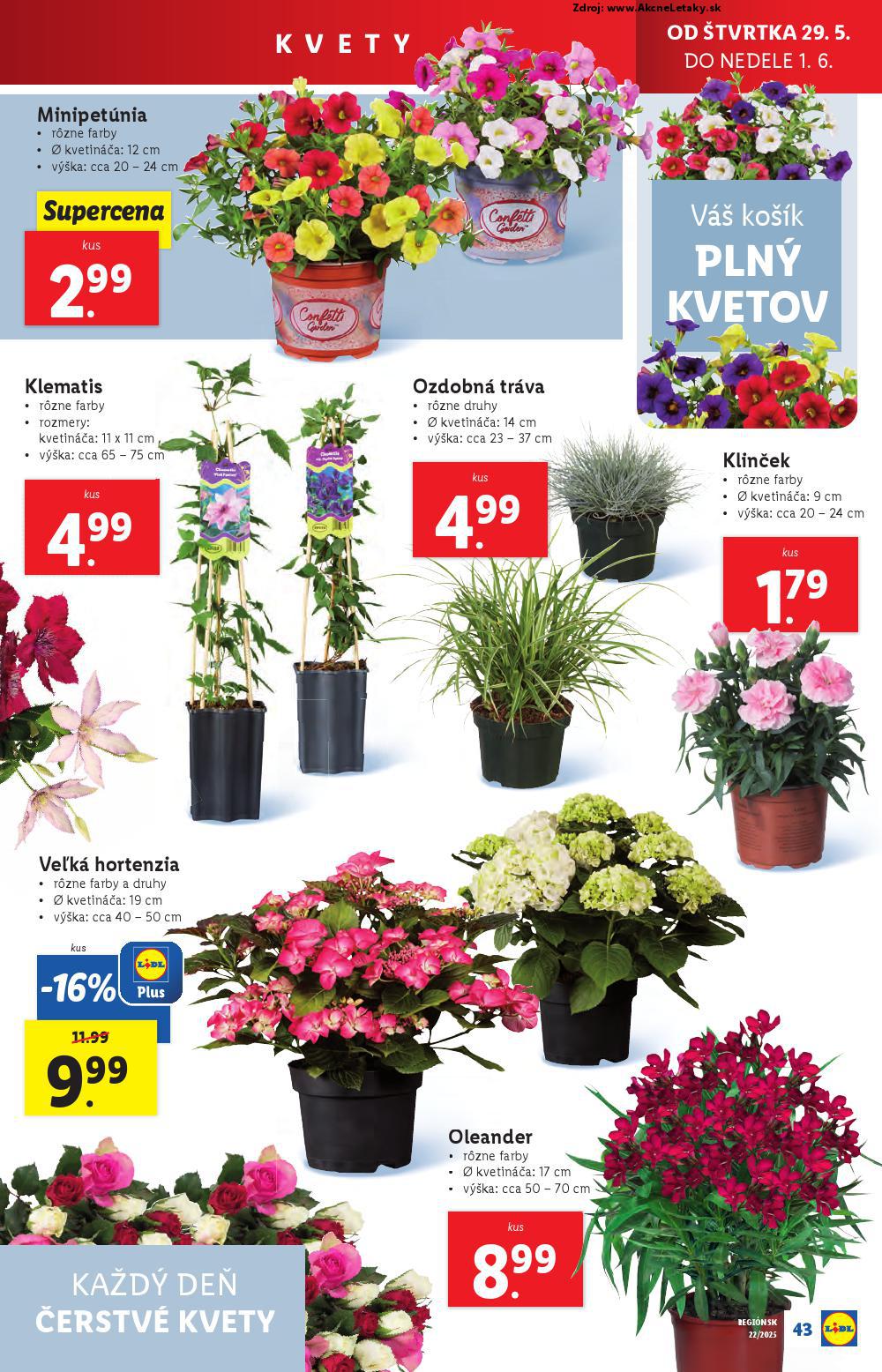 Lidl leták - strana 61 | 26. 5. - 1. 6. 2025 | AkčnéLetáky.sk